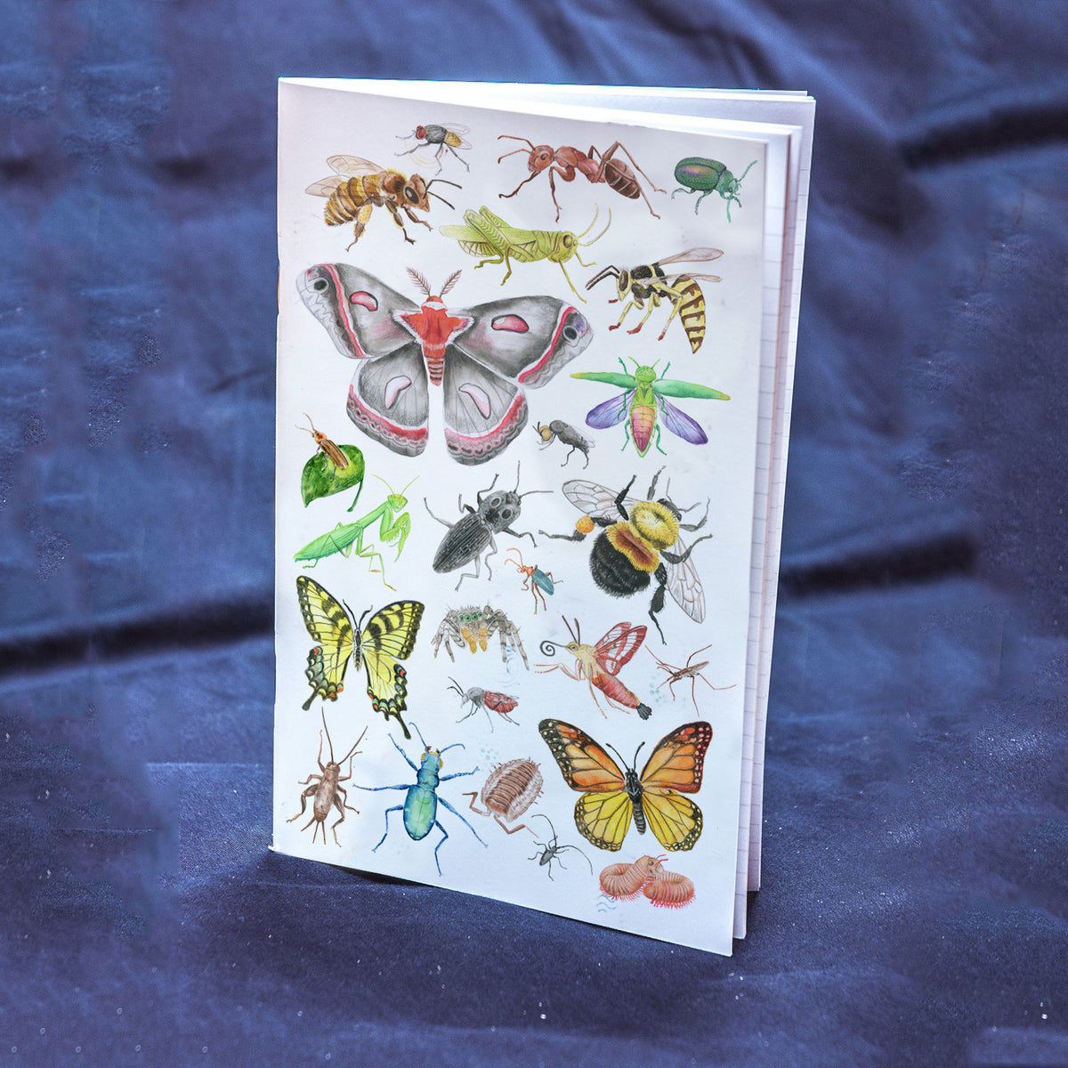 Cahier de notes Bestioles du Québec – Cathy Faucher illustration