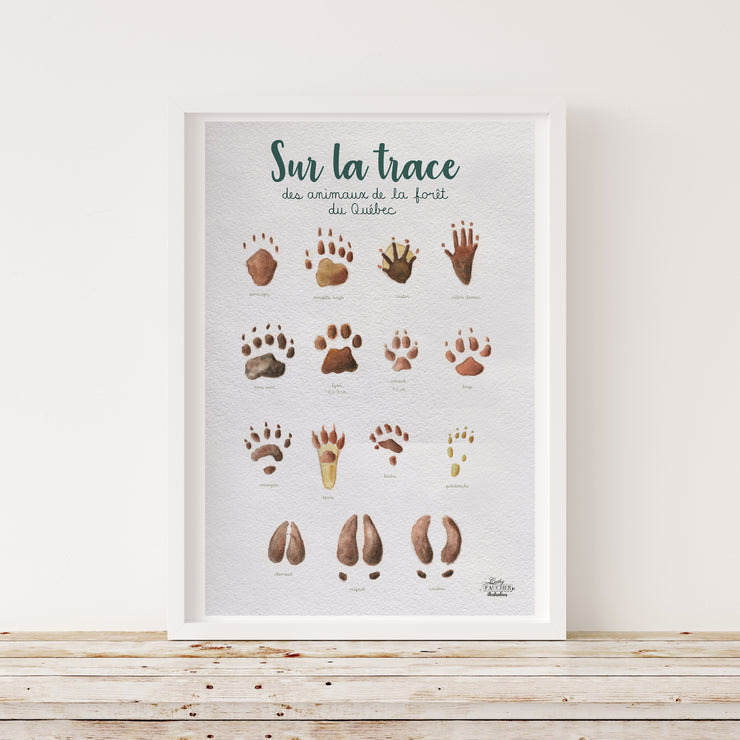 Affiche «Sur la trace des animaux de la forêt du Québec» – Cathy ...