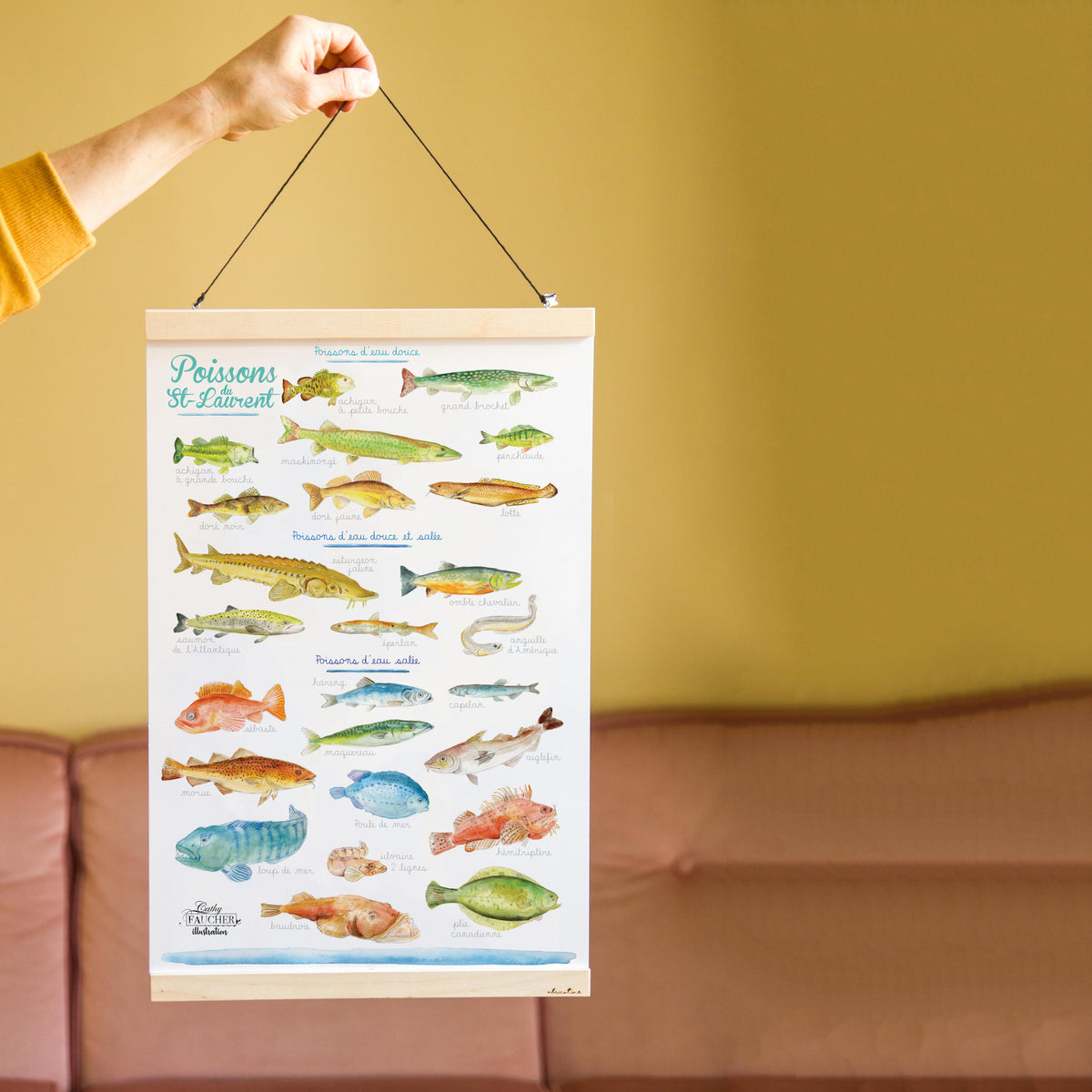 Affiche poissons du Saint-Laurent – Cathy Faucher illustration